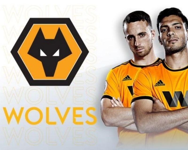 CLB Wolves: Thông tin, đội hình, lịch thi đấu, HLV